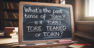 What’s the Past Tense of Tear? Is it Tore, Teared or Torn ...