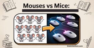 Mouses vs Mice: What’s the Correct Plural of Mouse? - grammerhint.com